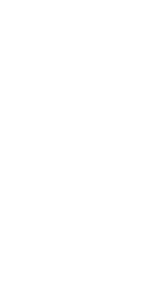 Buy Premium Regional Specialty Rice Online | SWAH – SWAHIndra