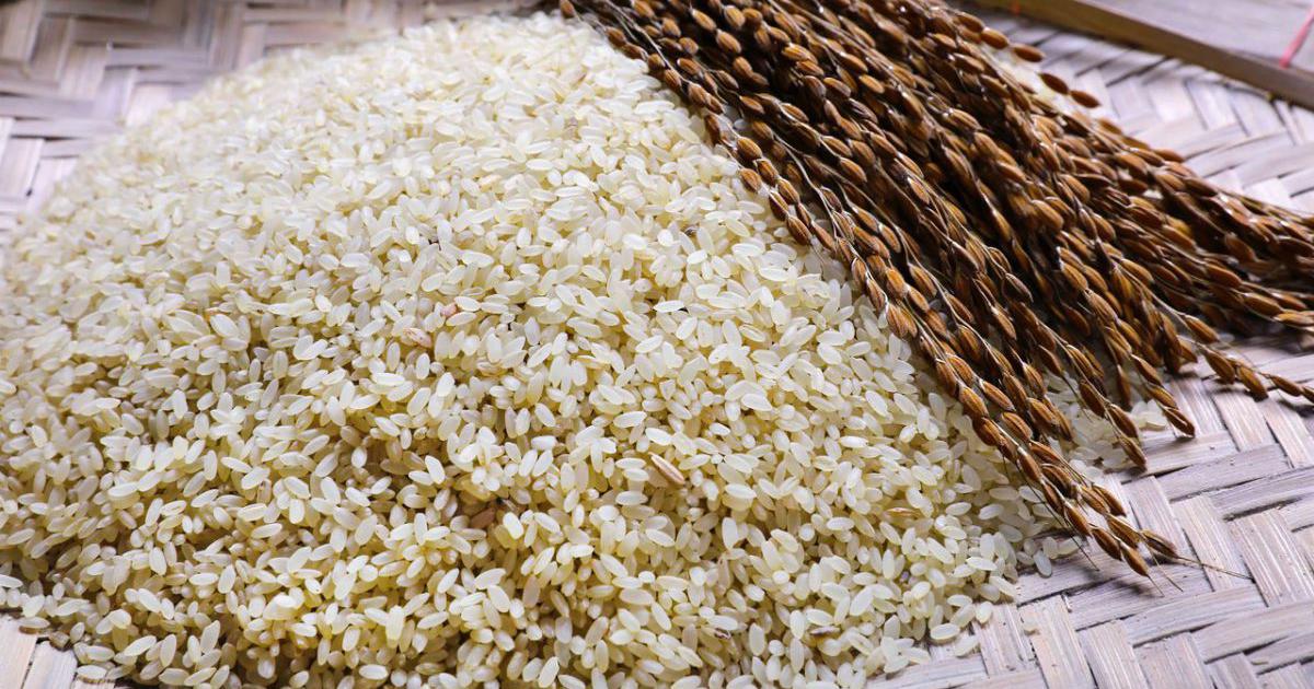 Buy Premium Regional Specialty Rice Online | SWAH – SWAHIndra